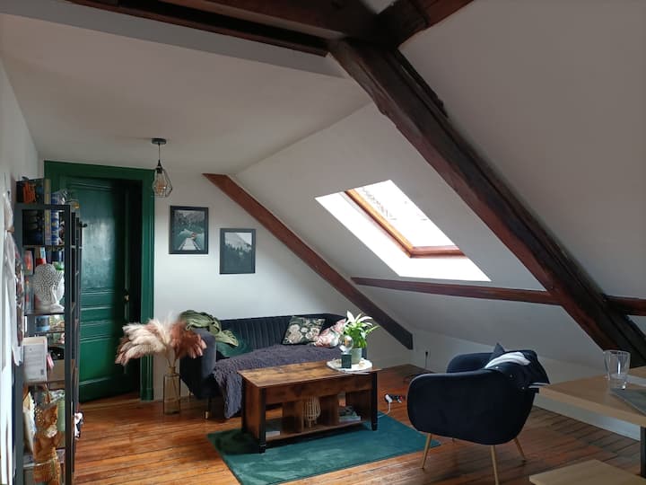 Appartement - Rouen Rive Gauche - Rouen