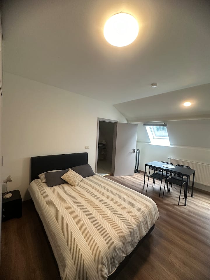 Relax In The Heart Of Brussels + Free Netflix - Sint-Jans-Molenbeek