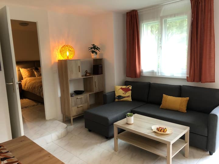 Joli Petit Appartement Meublé Dans Quartier Calme - Renens