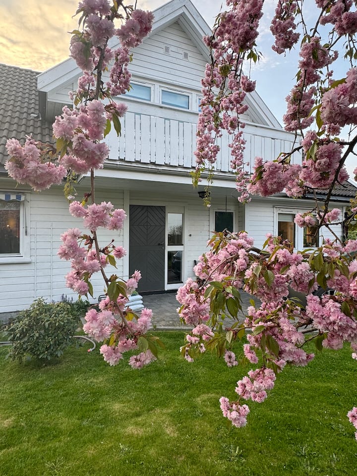 Familievennlig Hus Med  Katt - Kristiansand