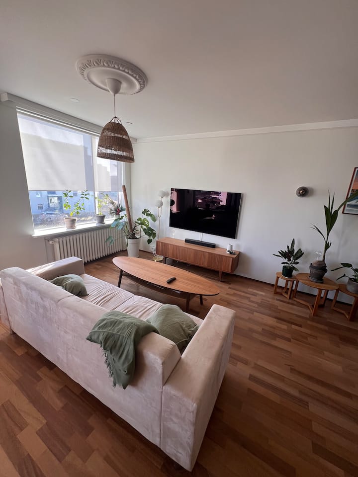 Charming & Comfortable Apartment - Reykjavík