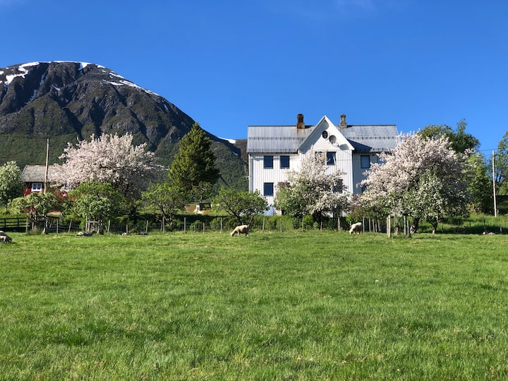 Gårdsopphold I Isfjorden - Norvège
