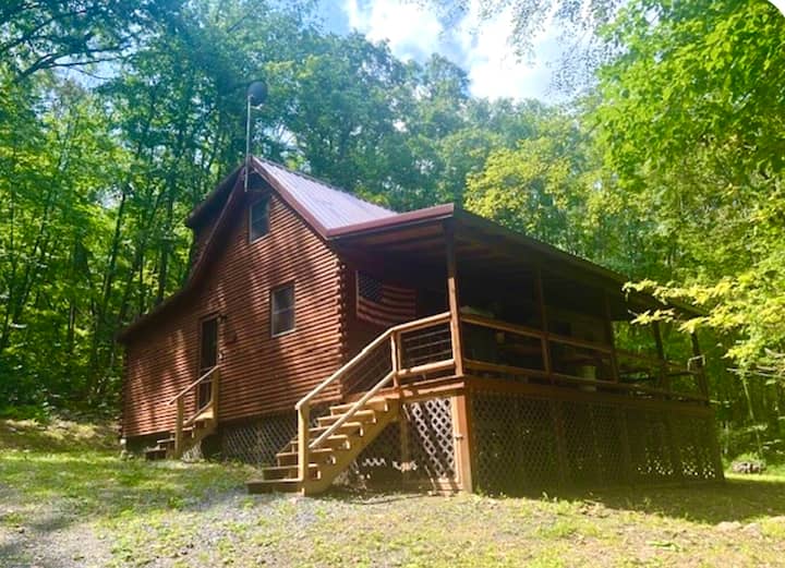 Catbird Cabin - Bald Eagle State Park, Howard
