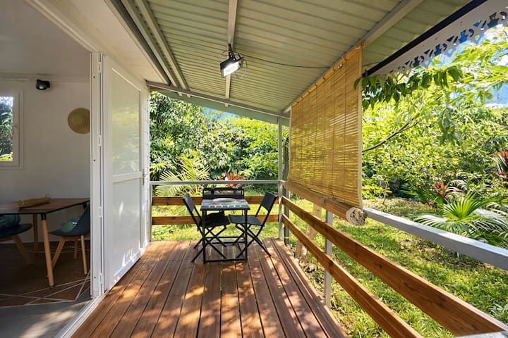 Palmactivity - Le Mangue Carotte - Saint-Pierre