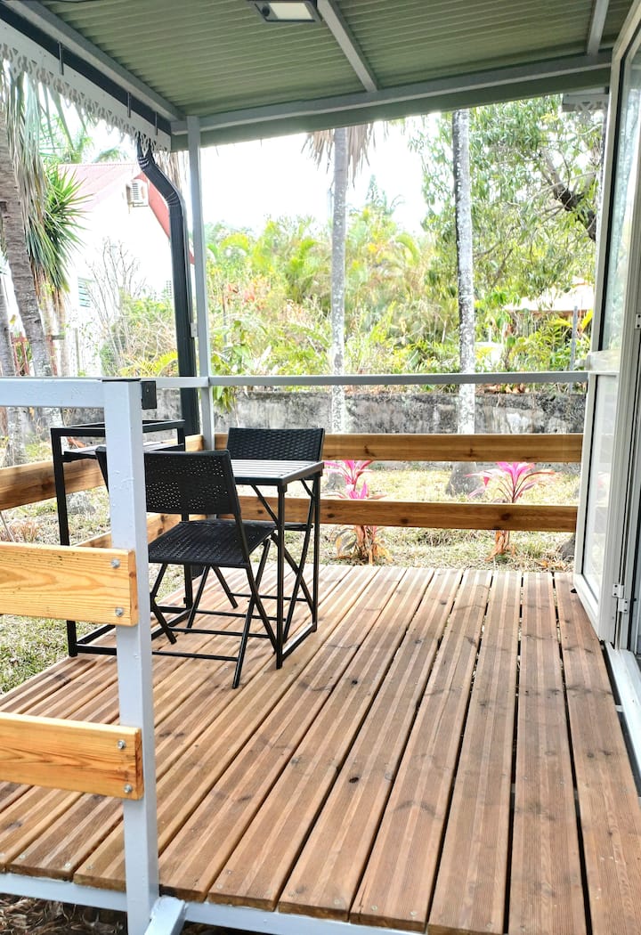 Palmactivity - Le Latanier - Saint-Pierre