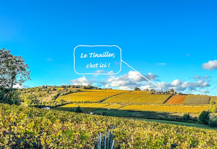 Le Tinailler
Gite D'exception 
Au Cœur Des Vignes - Mâcon