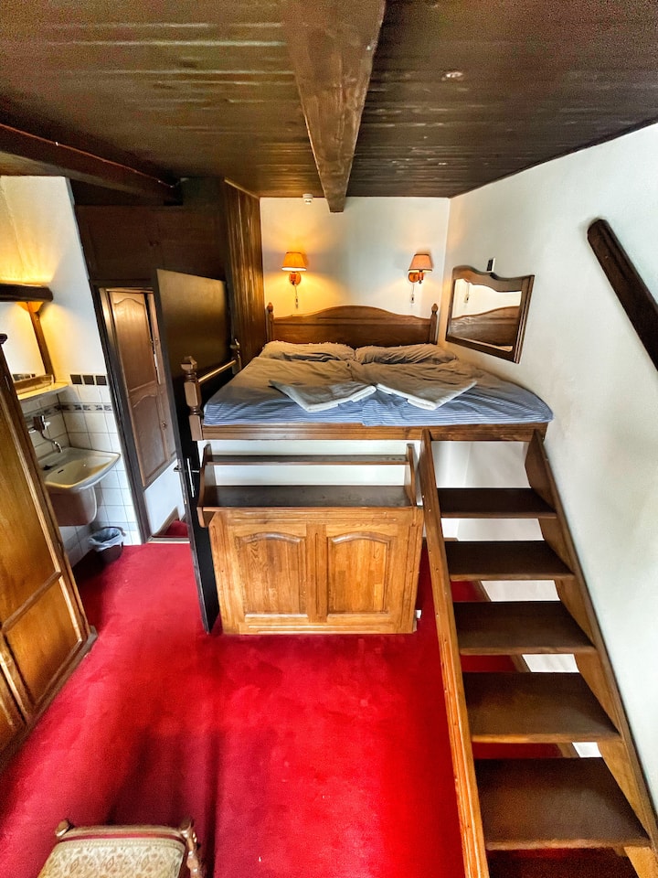 Nice Romantic Cozy Mansion With Garden In Center - Bratislava