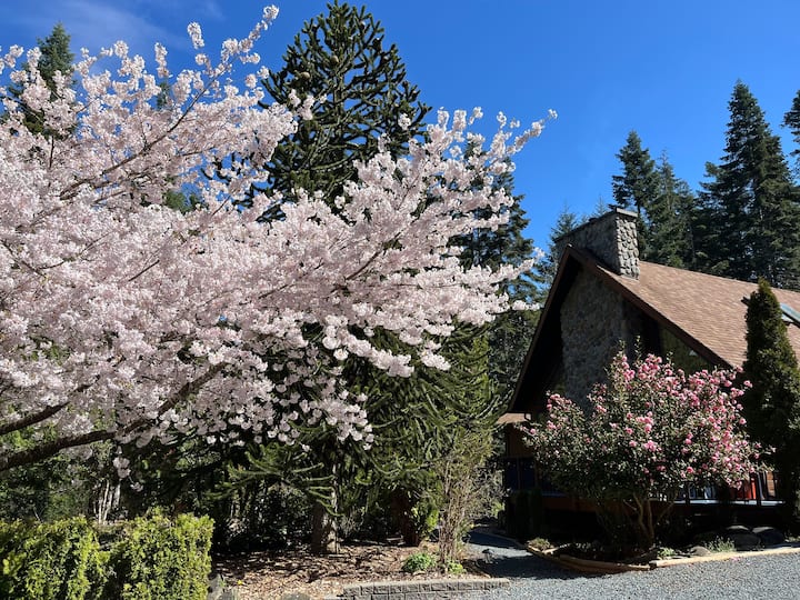 Casa Kaui B&b - Sooke