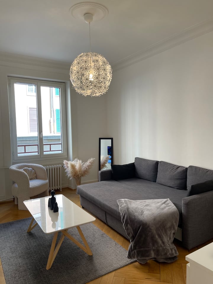 Appartement Cozy Au Centre De Genève - Carouge