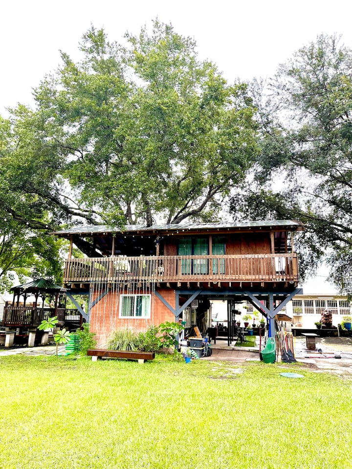 Tree House Retreat. - Christmas, FL