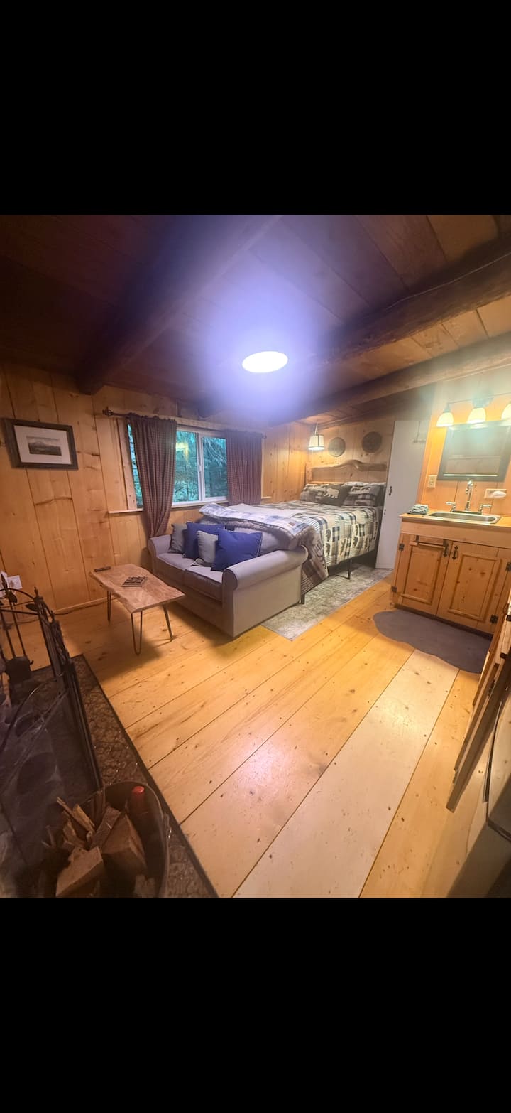 Cozy Cabin Less Than A Mile To Mt. Rainier - Ashford, WA