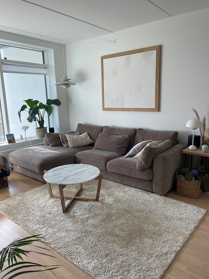 Lys Og Hyggelig Lejlighed På ÅRhus Ø - Aarhus