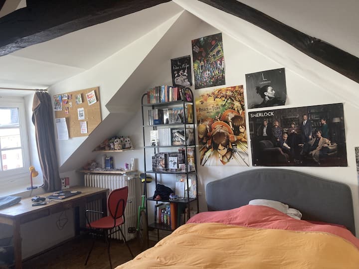 Chambre Verte Aux Pieds Du Duc - Bourges