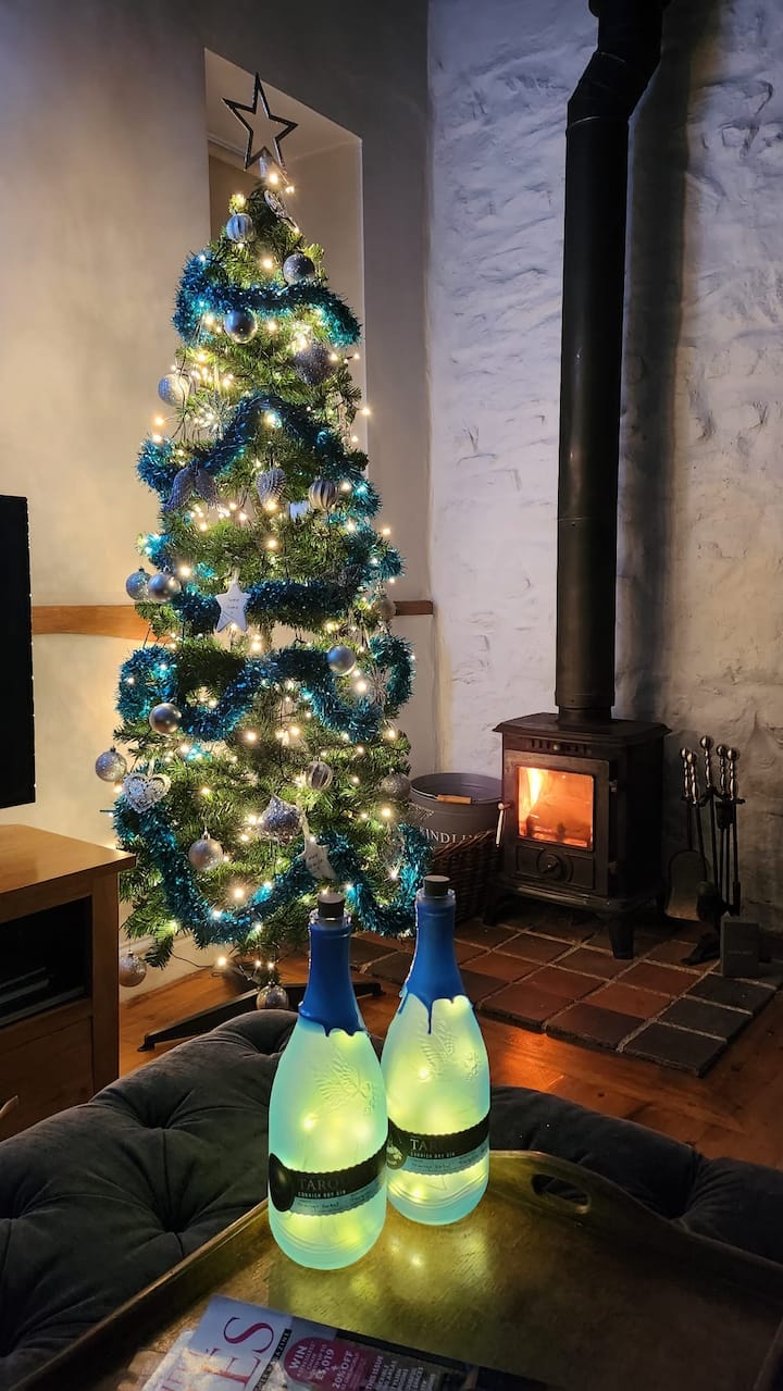 Plas Y Wern Holidays -Min Y Mor, Dog Coast Hottub - Aberporth