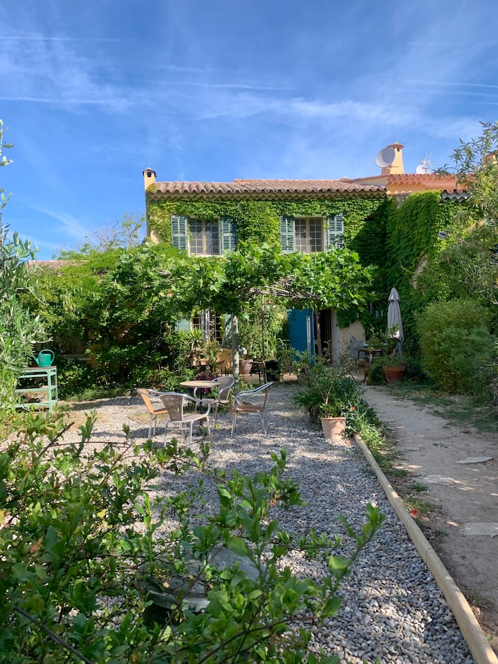 One More Hidden Gem By The Sea - Bandol