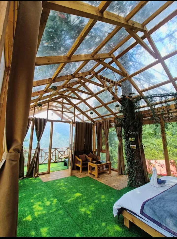 Glass Tree House Sainj - India