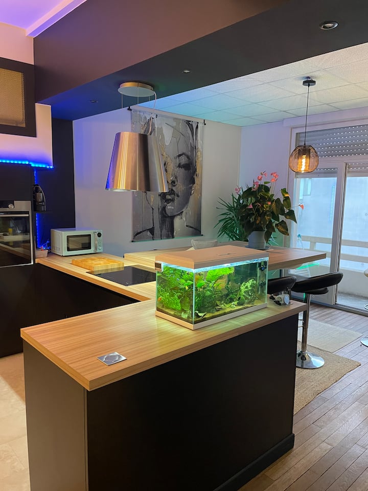 Appartement Spacieux Et Lumineux - Carcassonne