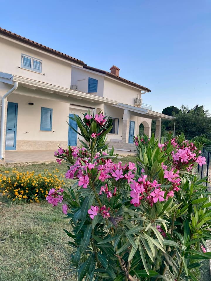 Villette Vigida - Holiday Home - Castellammare del Golfo