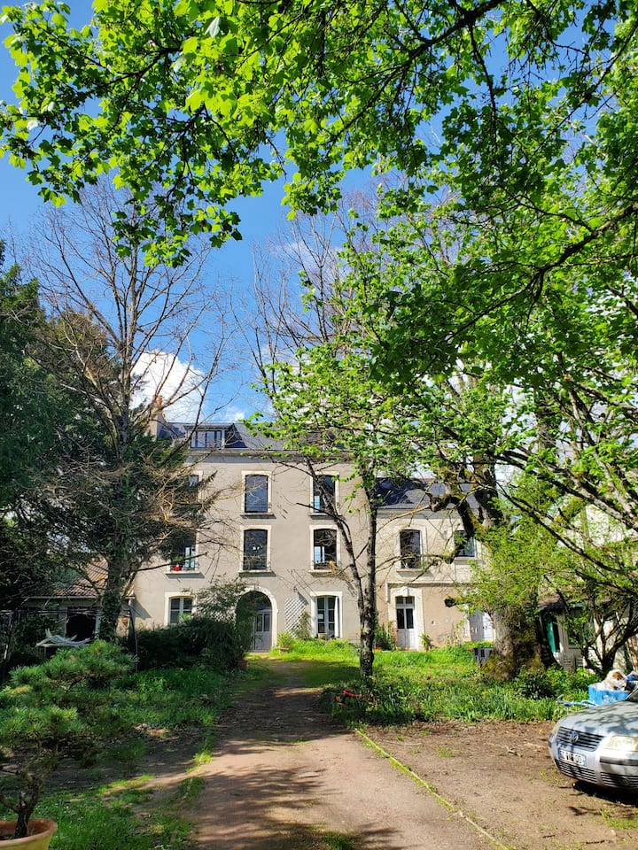 Maison Entière Bord De Loire à Blois - Blois