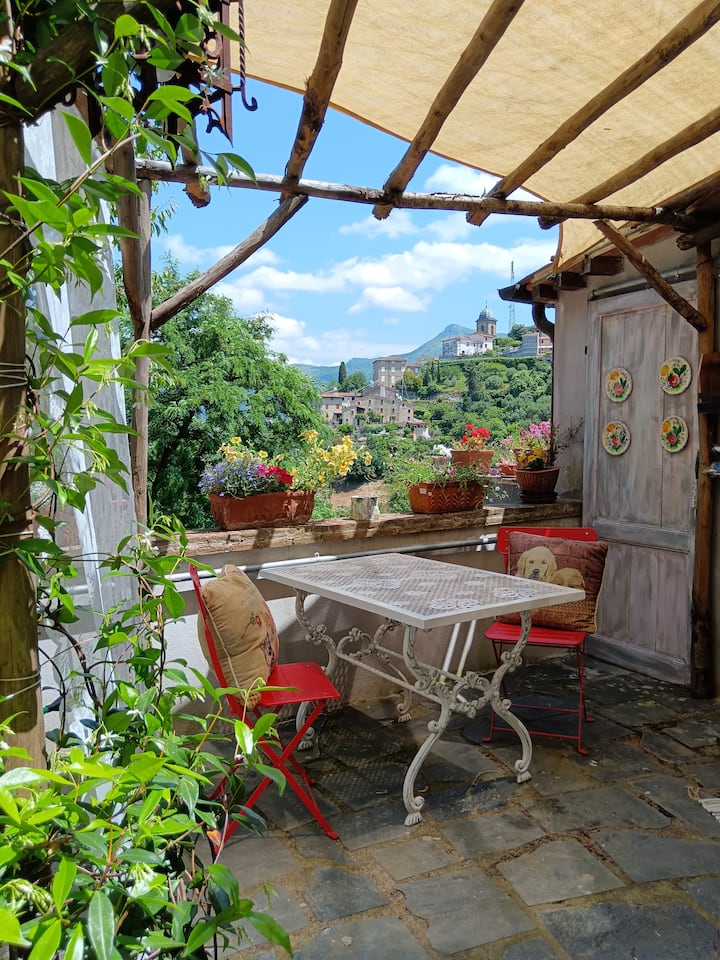 Appartamento Il Saltafossi. - Pietrasanta