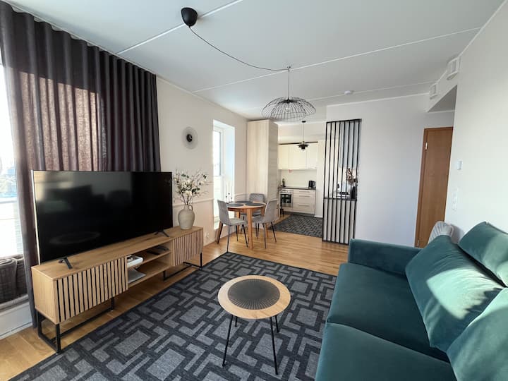 Cozy Flat Near Song Festival Grounds (Lauluväljak) - Tallinn