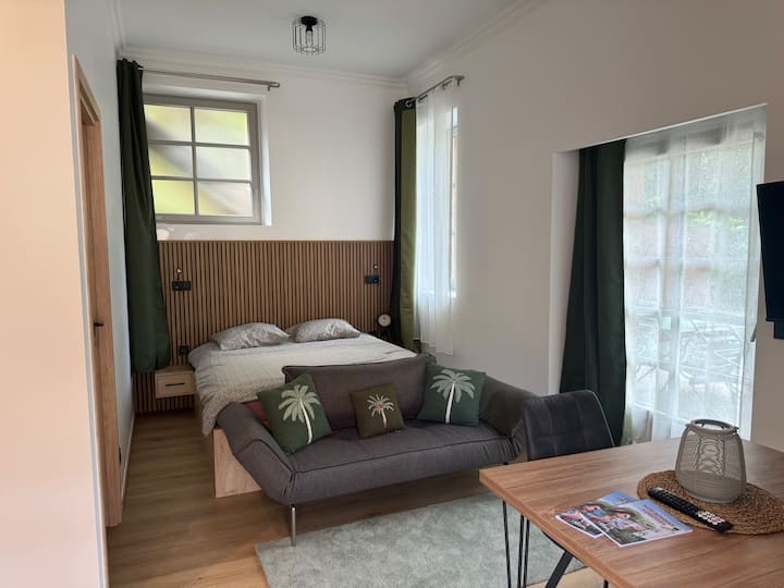 Appartement Confort - Thonon-les-Bains