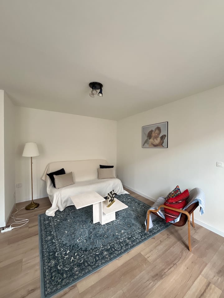 Appartement Lumineux - Strasbourg