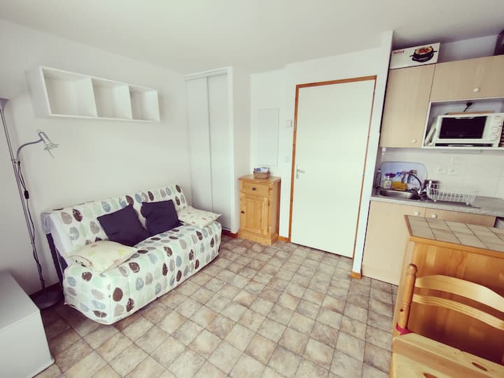 Appartement 4 Couchages Aux Pieds Des Pistes, Wifi - Saint-Jean-d'Aulps