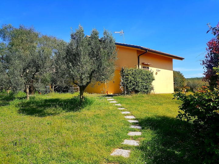 Villa Oliva - Montalto di Castro