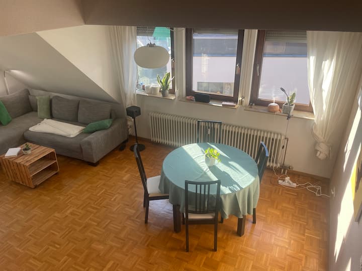 Helle Wohnung In Zentraler Lage - Tübingen