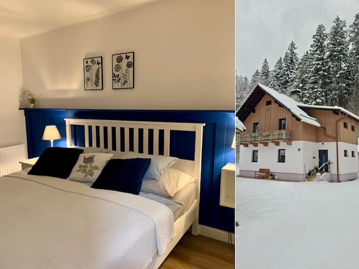 Blue Apartment Iris - Obertraun