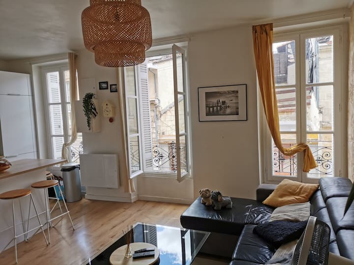 Appartement Jardin Public - Bordeaux