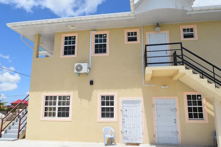 Foreign Company Workers/cricket - Guyana