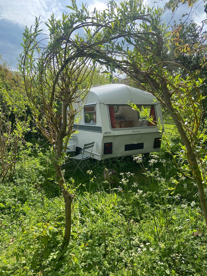 Little Pebble @ Blue Lias Catering - Glastonbury