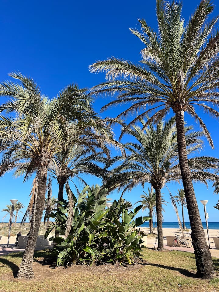 Apartamento Monika Grau Y Playa - Gandia