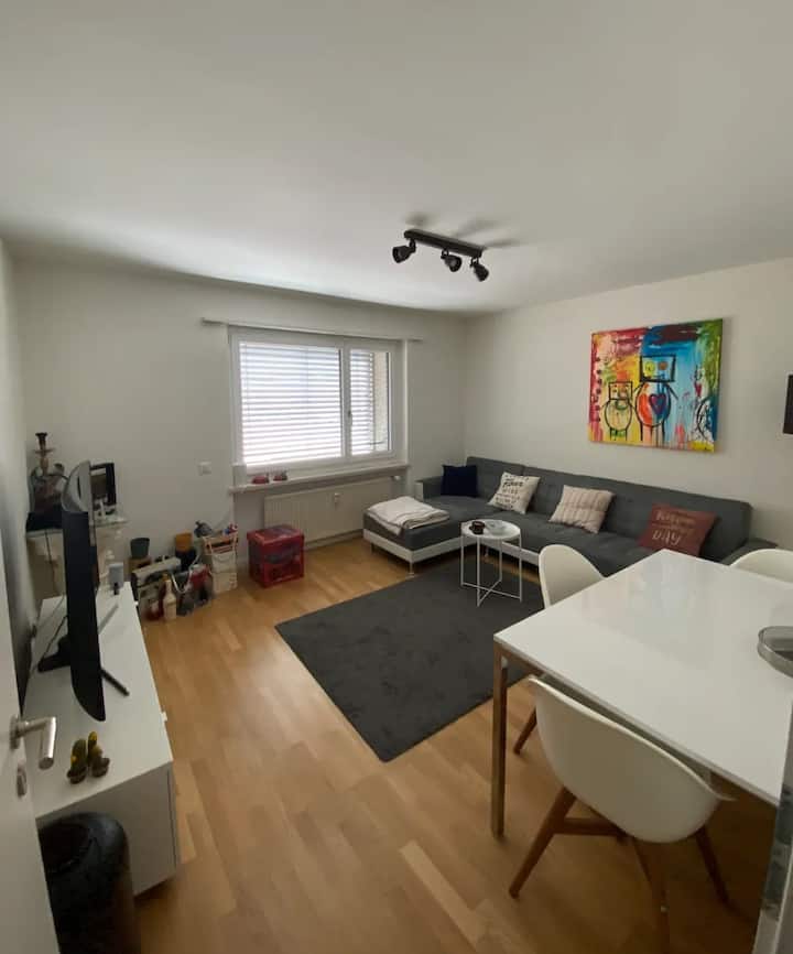 Wohnung In Der Nähe Von Artbasel - Basel