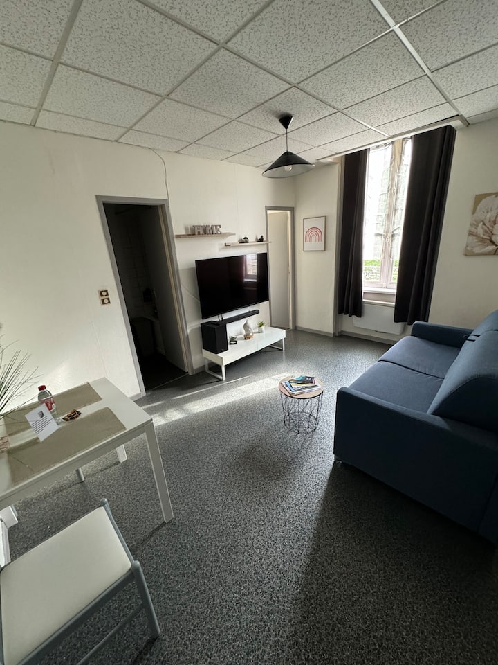 Appartement Parc Thermal Vittel - Vittel