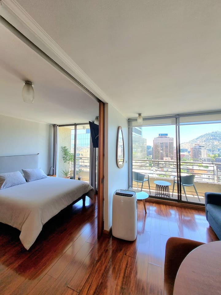 Fabulosa Vista Al Providencia - Santiago