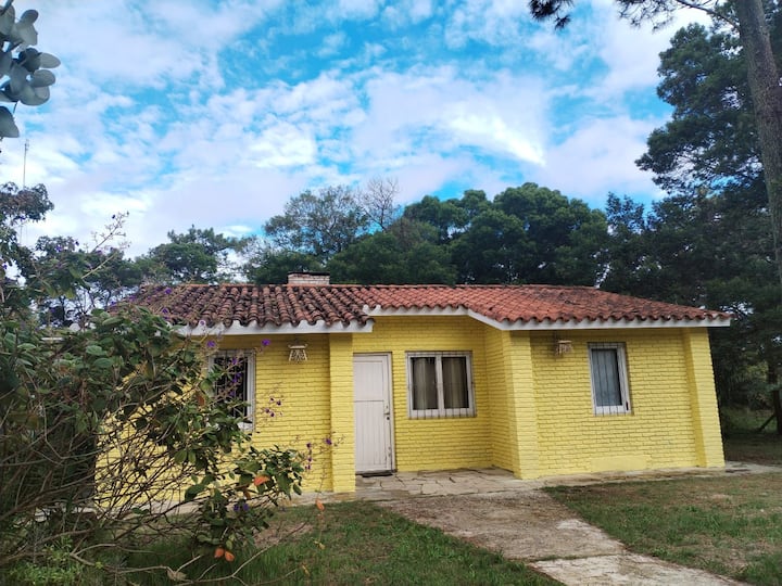 Casa En Alquiler Por Temporada - Cuchilla Alta