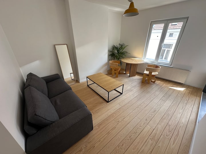 Bright Place In St Gilles Next To Gare Du Midi - Brussels Region