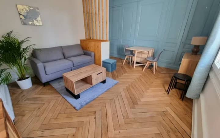 Chaleureux Studio-bords De Loire - Tours