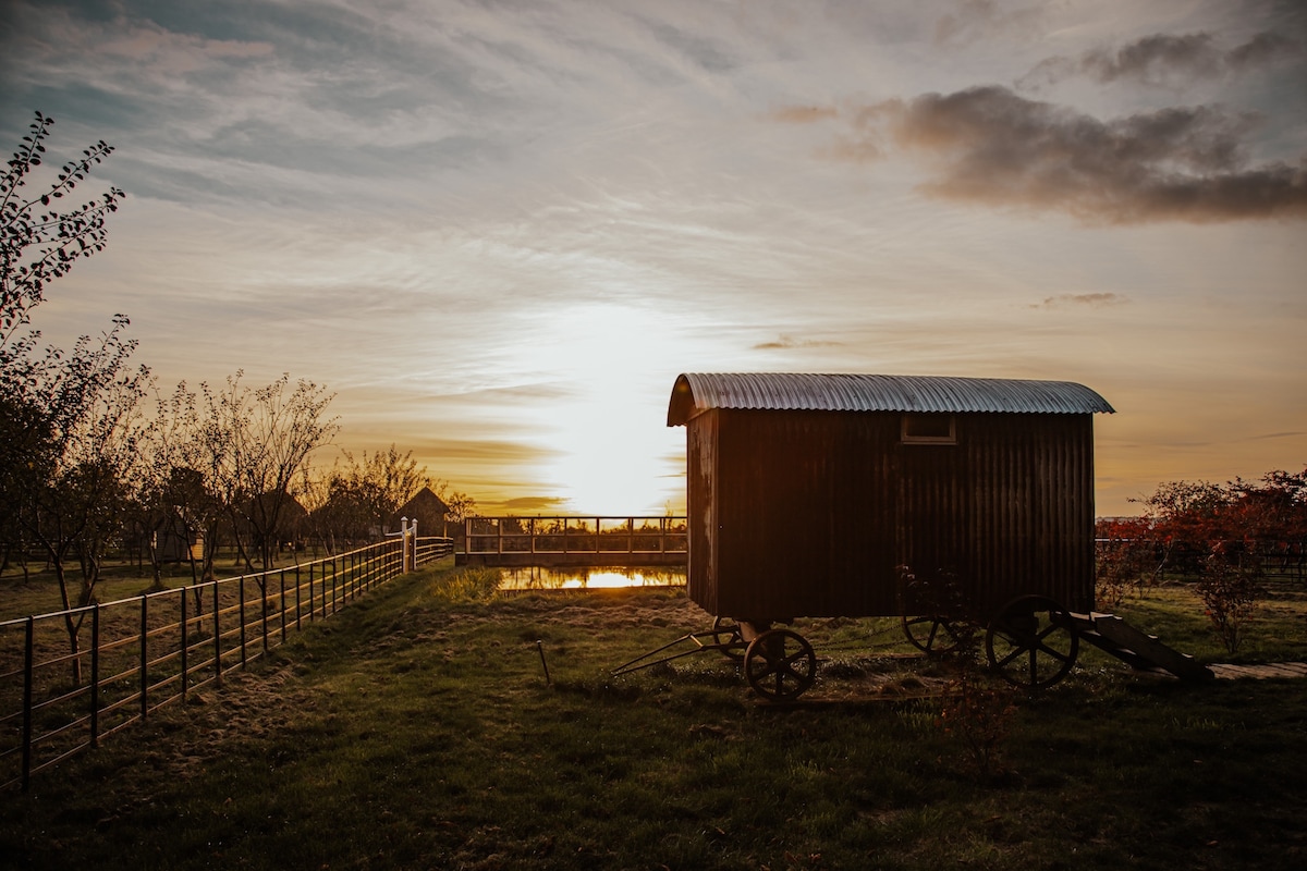 Magical Cotswold Hut Breakfast inc. Near Bath 2 - Casas de pastor ...