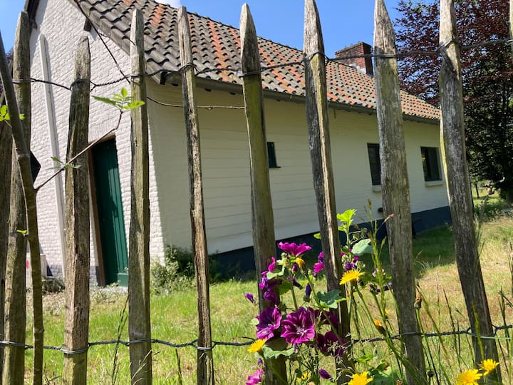 Lafontaine - Essen (Belgique)
