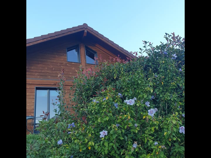 Chalet Bois Cosy - Climatisé - Piscine Privée - Territoire de Belfort