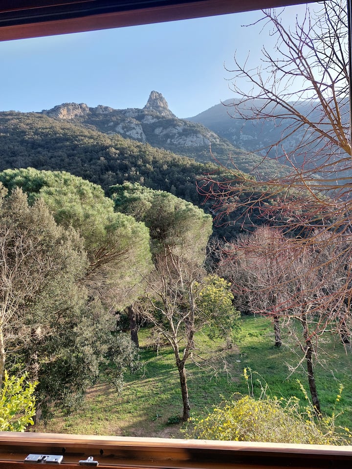 Appart  Entre Mer Et Montagne 3 Chamb + S De Bain - Argelès-sur-Mer