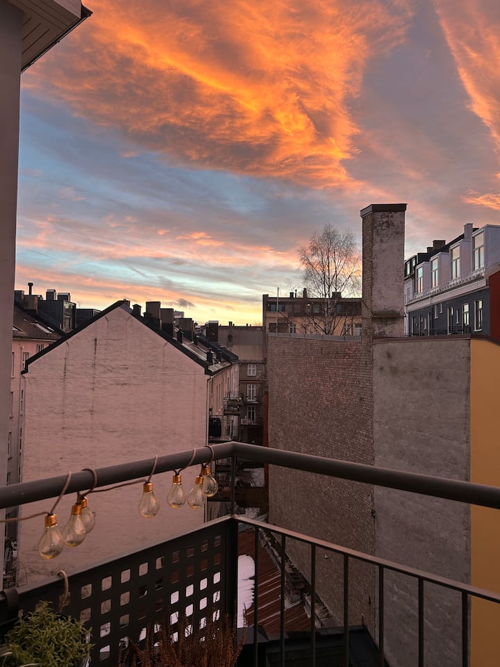 Sentralt Og Koselig - Oslo