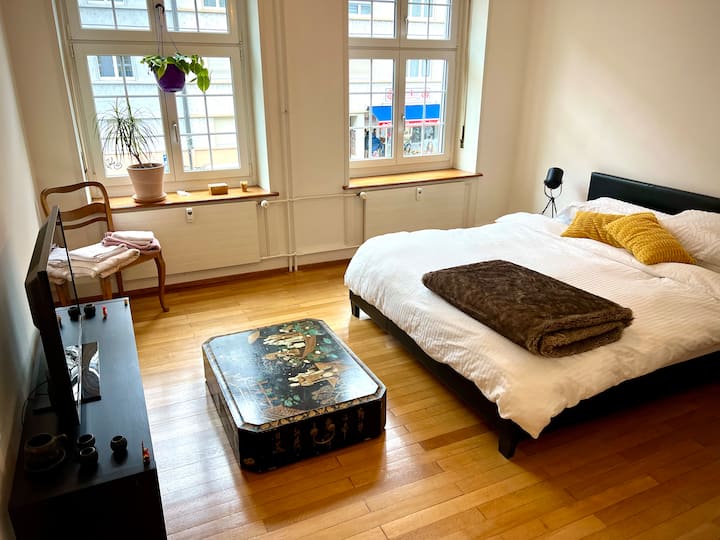 Art Basel Cozy Minimalist Apartment - Basel