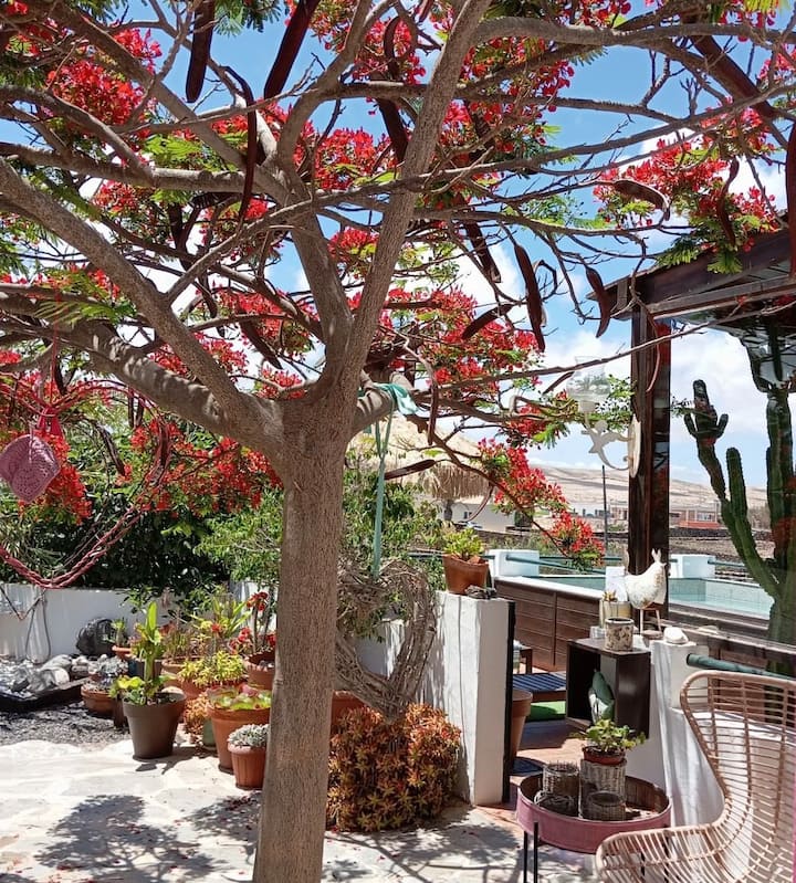 Casa Maruca - El Cotillo