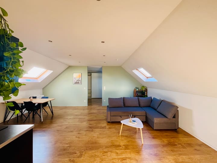 Ruime Studio Met Eigen Ingang En Private Badkamer - Asse