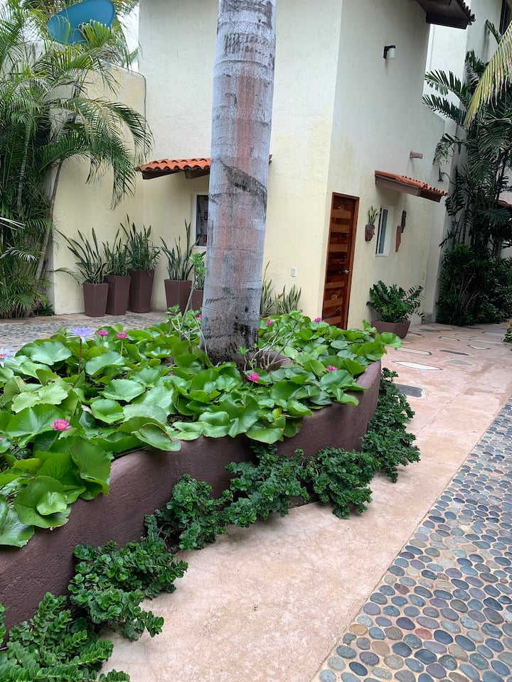 Casa Delfín - Playa Blanca
